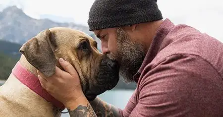 Como a Psicologia Animal pode melhorar a relação entre você e seu cão ...